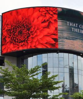 Commercial LED Display | LED Display Solution Provider - Wanliang